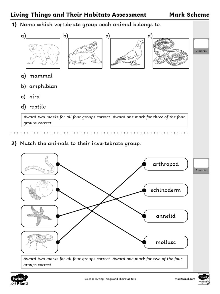 Assessment Test Living Things and Their Habitats Answers | PDF ...