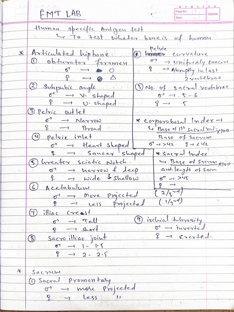 FMT Determination of Sex | PDF