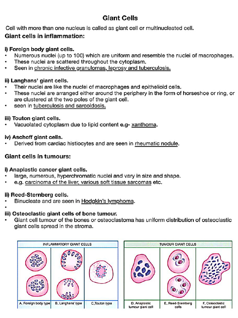 Giant Cell | PDF
