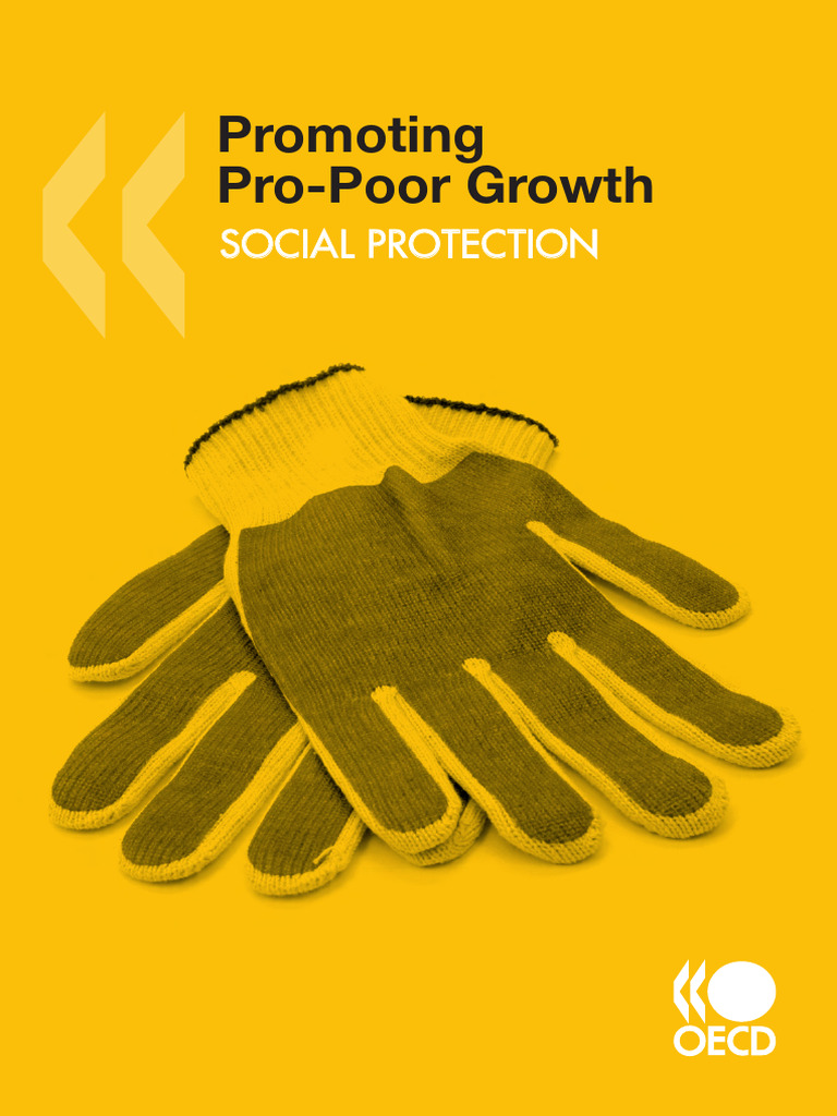 Promoting Pro-Poor Growth: Social Protection | PDF | Social Protection ...