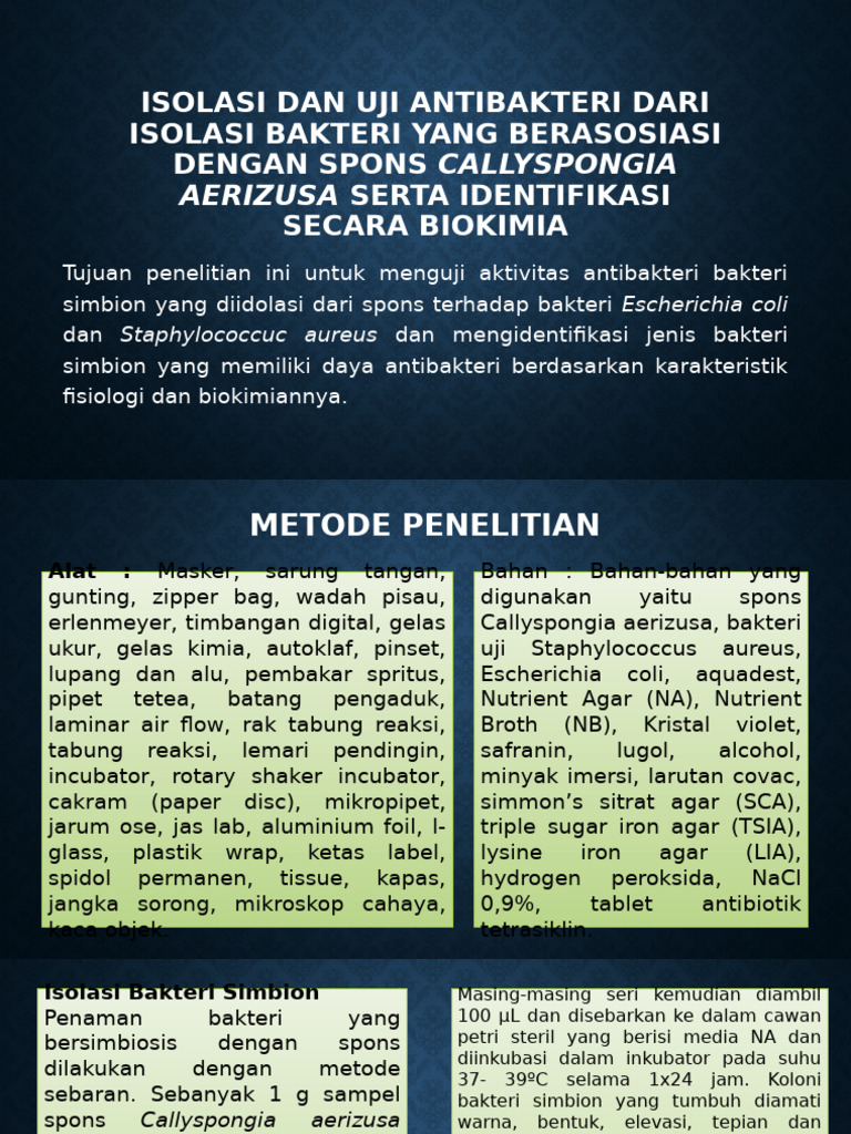 Isolasi Dan Uji Antibakteri Dari Isolasi Bakteri Yang | PDF