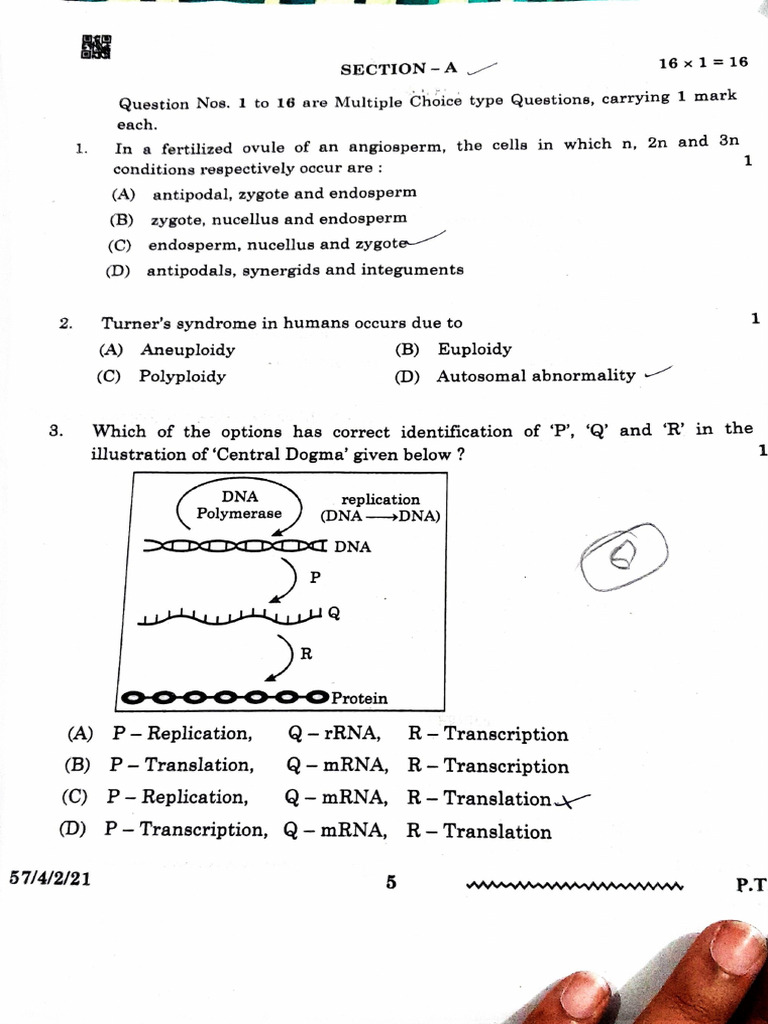 PDFReader 20250517 2000 | PDF