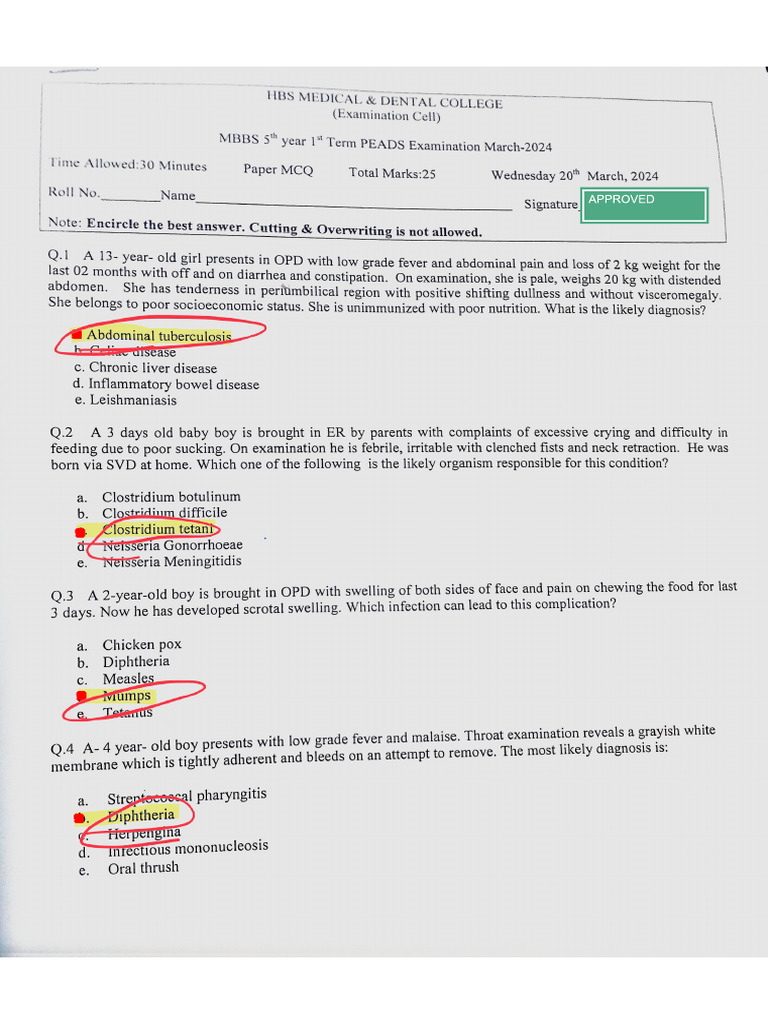 Peads Term 1 2024 Corrected | PDF