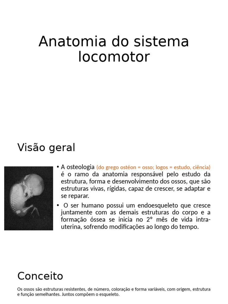 Anatomia do sistema locomotor | PDF | Osso | Coluna vertebral