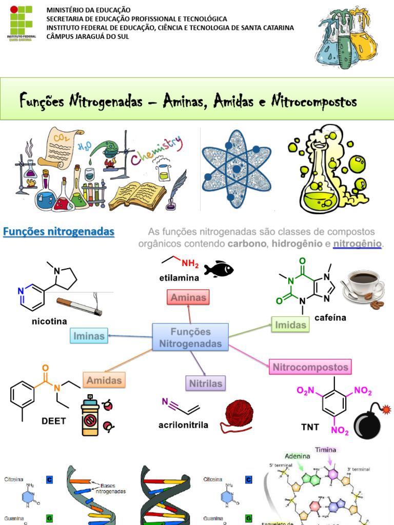 10 - Funções Nitrogenadas - Amidas | PDF | Amida | Solubilidade