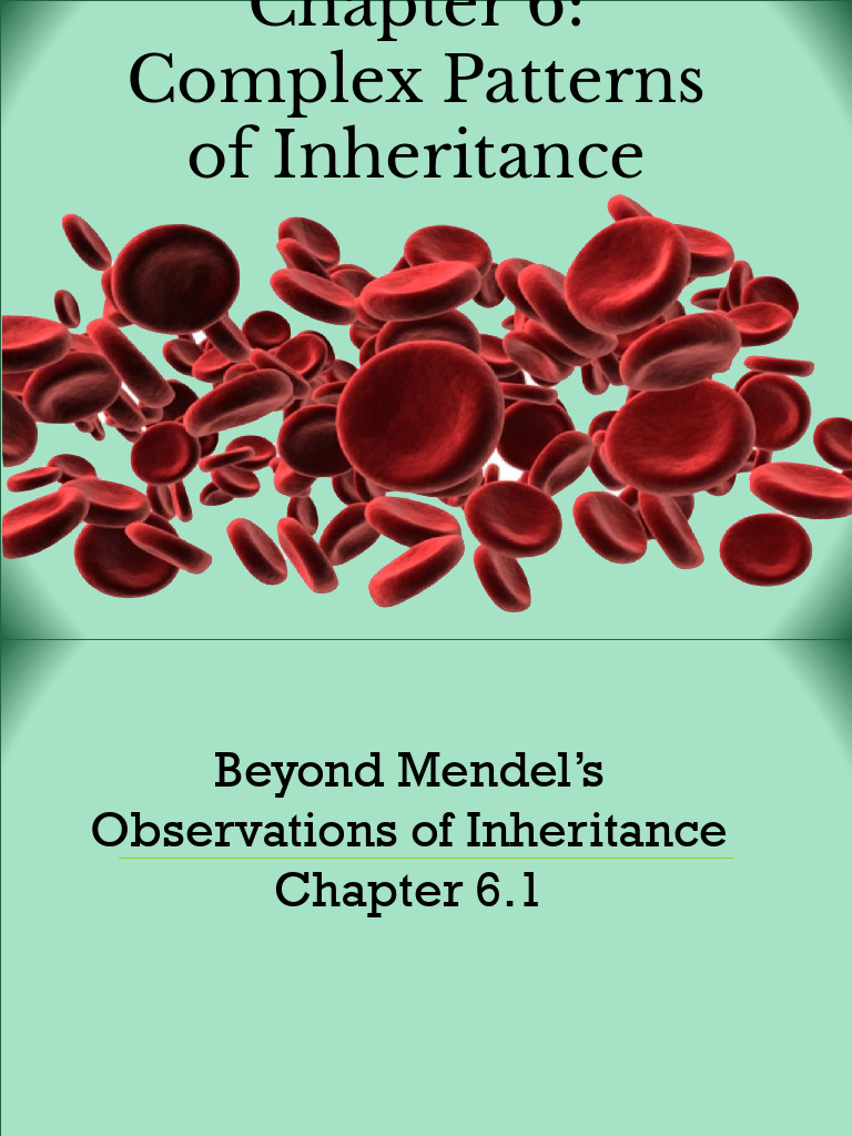 Chapter 6 Complex Patterns of Inheritance 2019 | PDF | Dominance (Genetics) | Genetic Linkage