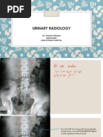 CT Urography: Techniques & Protocols | PDF | Ct Scan | Kidney