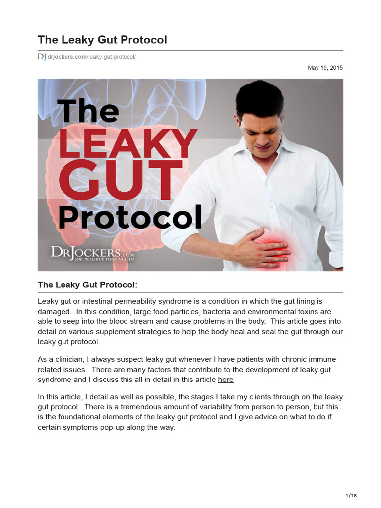 The Leaky Gut Protocol | PDF | Digestion | Gastrointestinal Tract