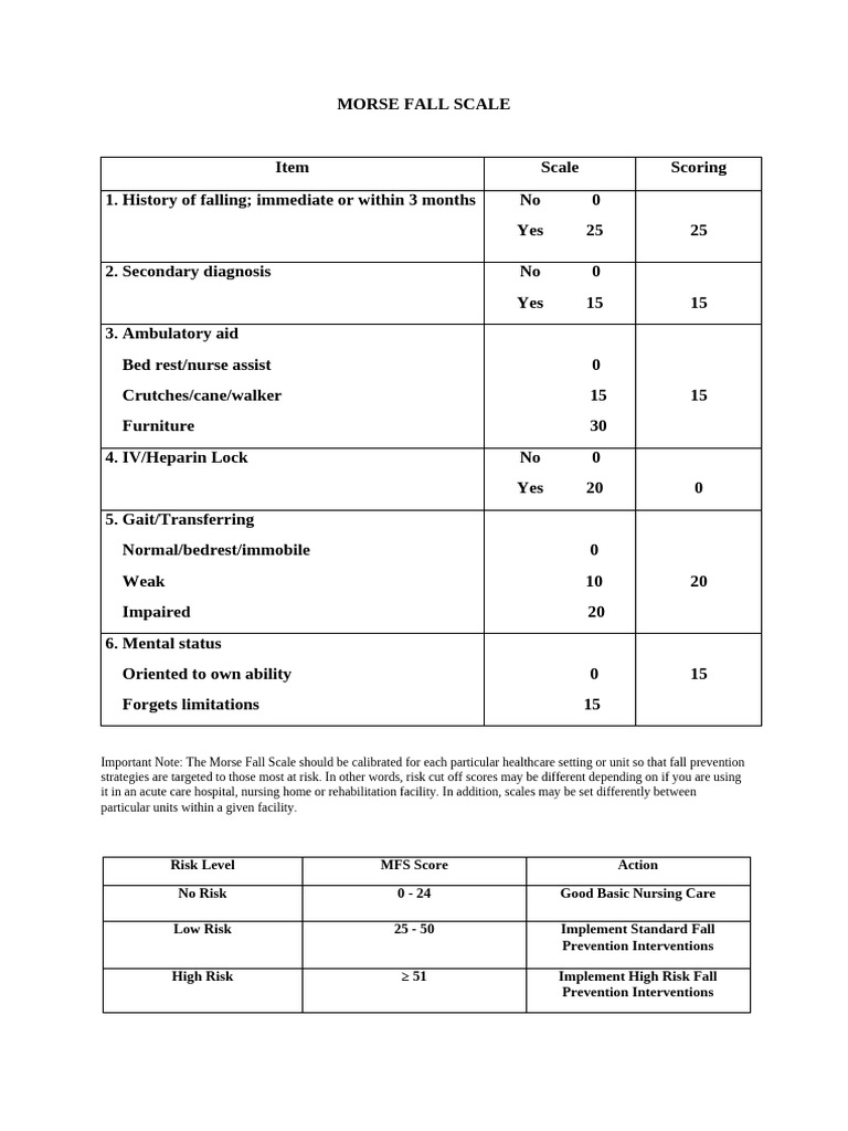 Morse Fall Scale | PDF | Public Services | Health Sciences