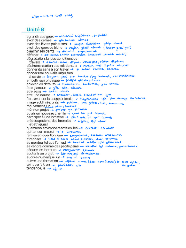 Le Vocabulaire de L'unité 6 | PDF