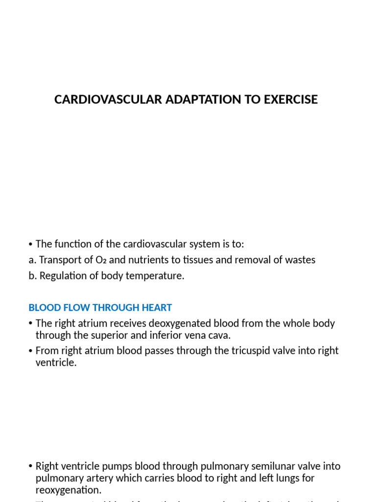 Cardiovascular Adaptation To Exercise | PDF | Heart | Breathing