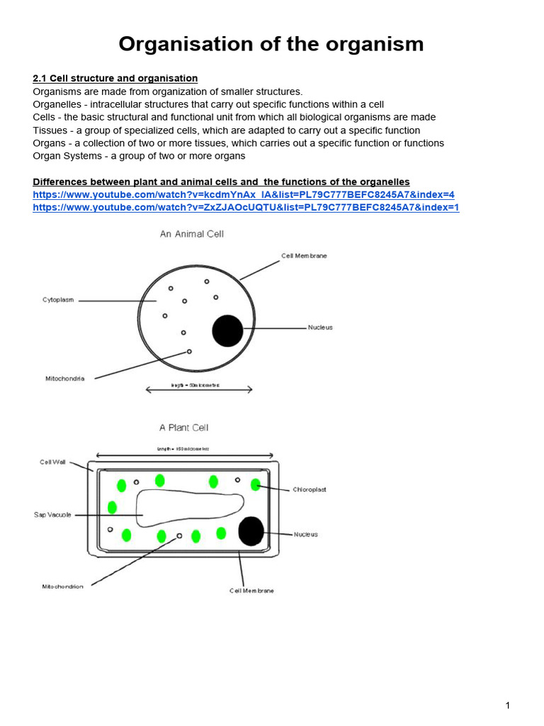Organisation of The Organism | PDF | Cell (Biology) | Tissue (Biology)