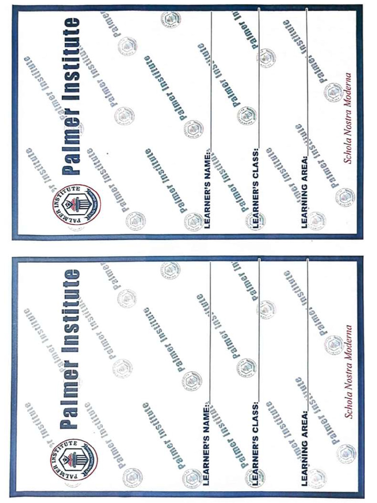 Hazel Palmer Institute | PDF