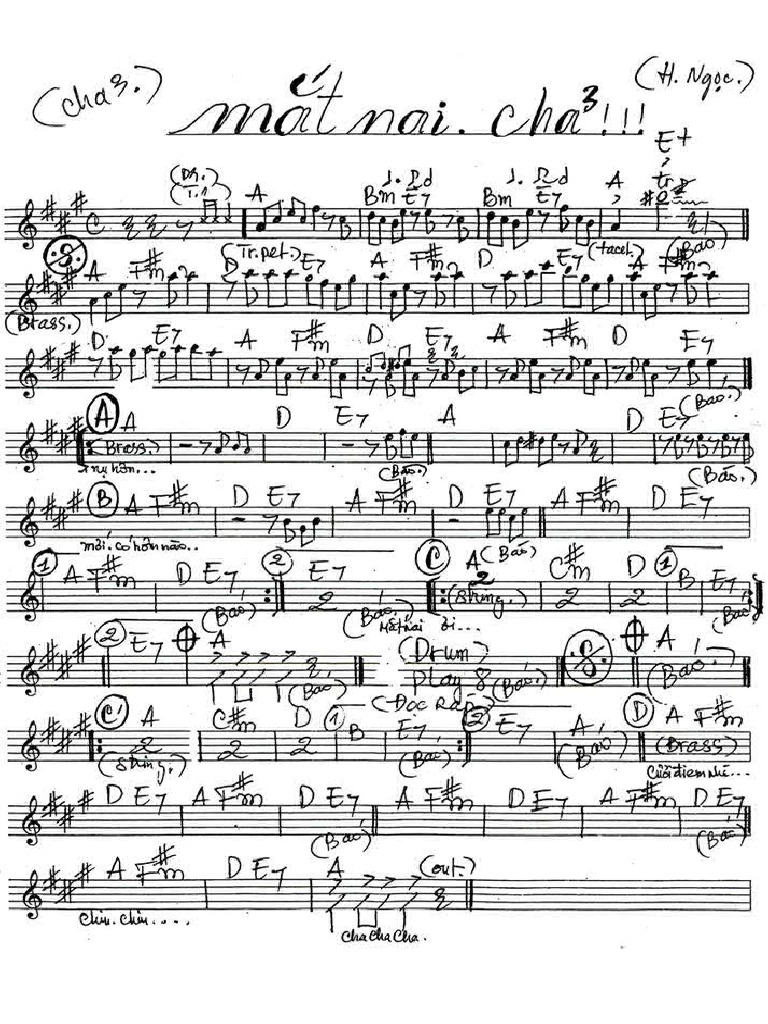 Mắt Nai Cha Cha Cha | PDF