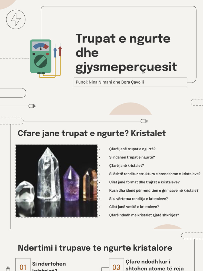 Projekt Nina Bora | PDF