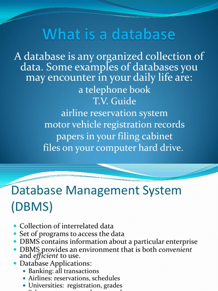 Understanding Database Management Systems | PDF