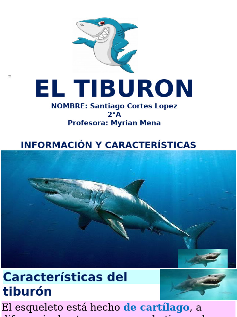 El Tiburon | PDF