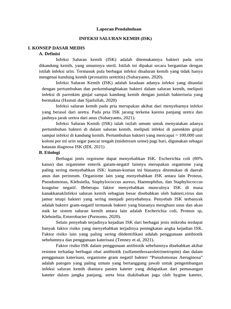 Panduan Lengkap Infeksi Saluran Kemih | PDF