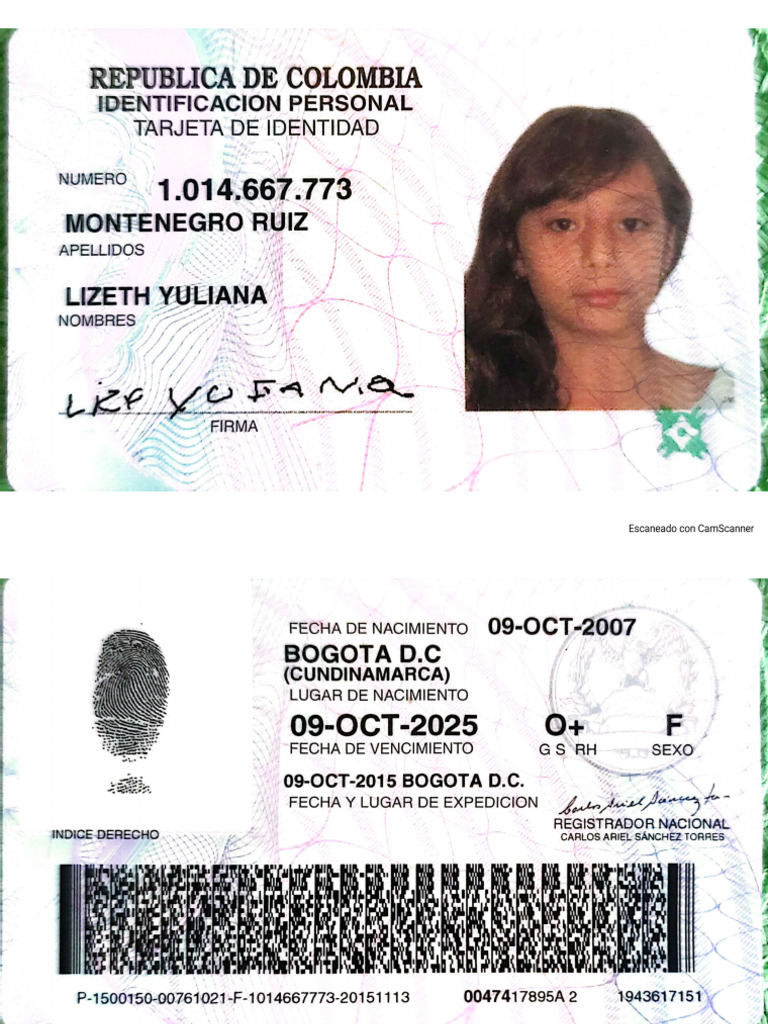 Documento de Yuli ️? | PDF