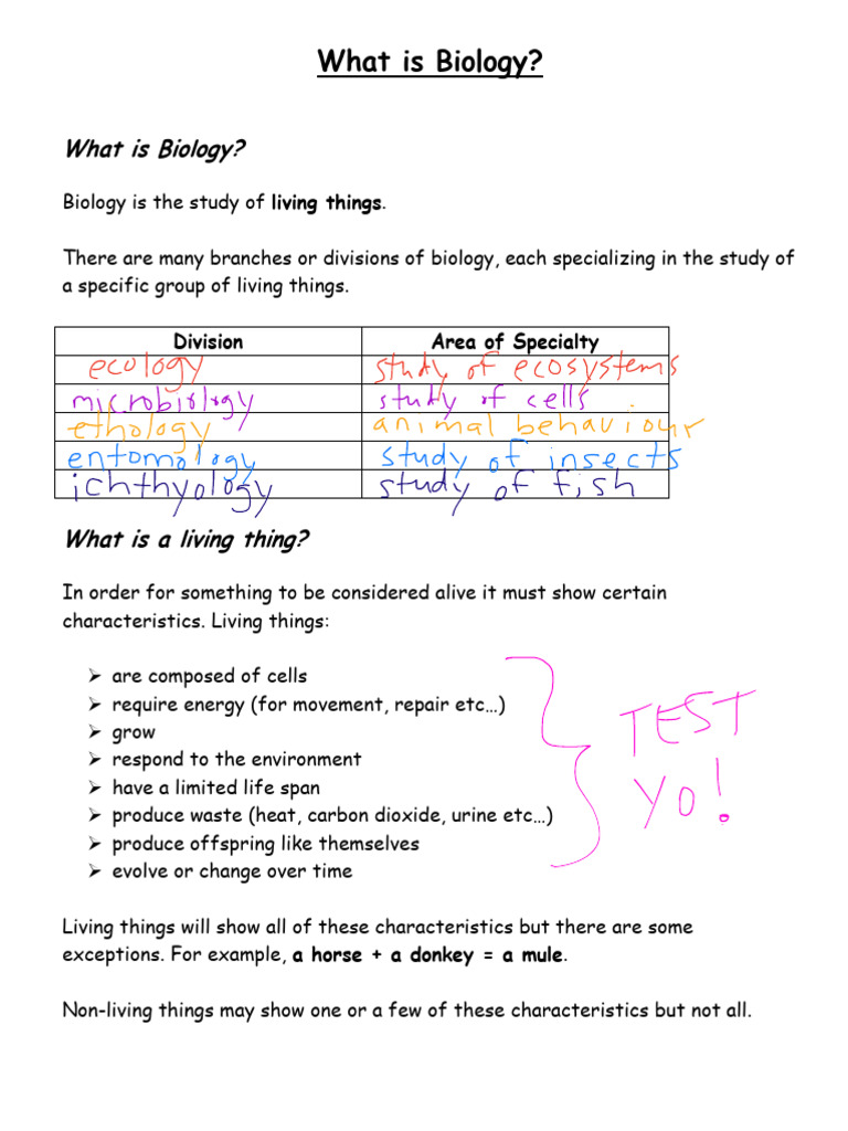 Biology Grade 10 - Arthur Science | PDF | Circulatory System | Atrium ...