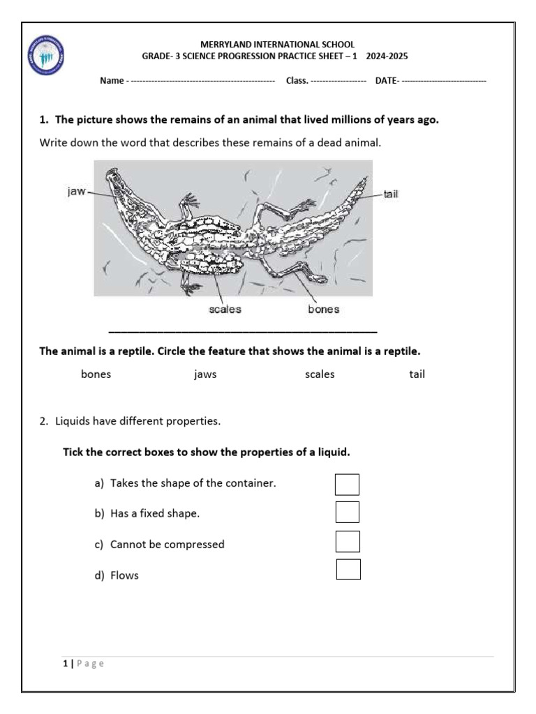 Progression Practice Sheet 1 | PDF