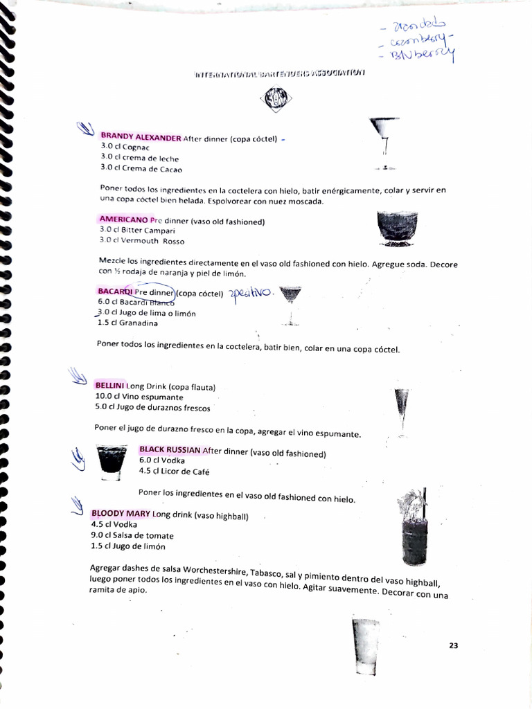 Libro 4 Barte Der | PDF | Vodka | Martini (Cóctel)