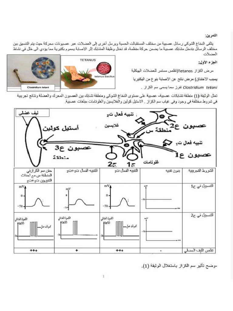 Image to PDF 20241103 20.25.21 | PDF