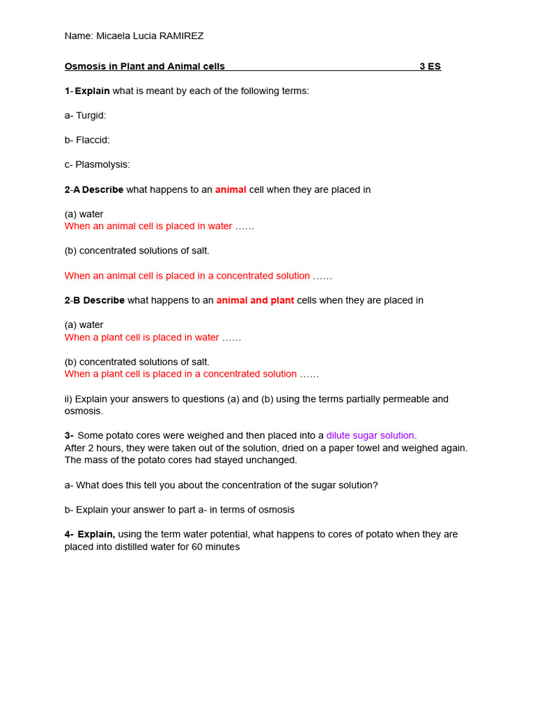 Osmosis Effects on Plant and Animal Cells | PDF | Osmosis | Biology