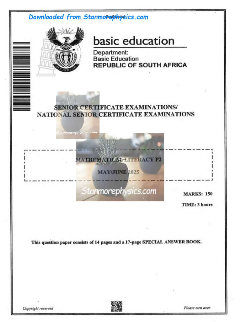 NSC Maths Literacy Grade 12 May June 2025 P2 Only | PDF