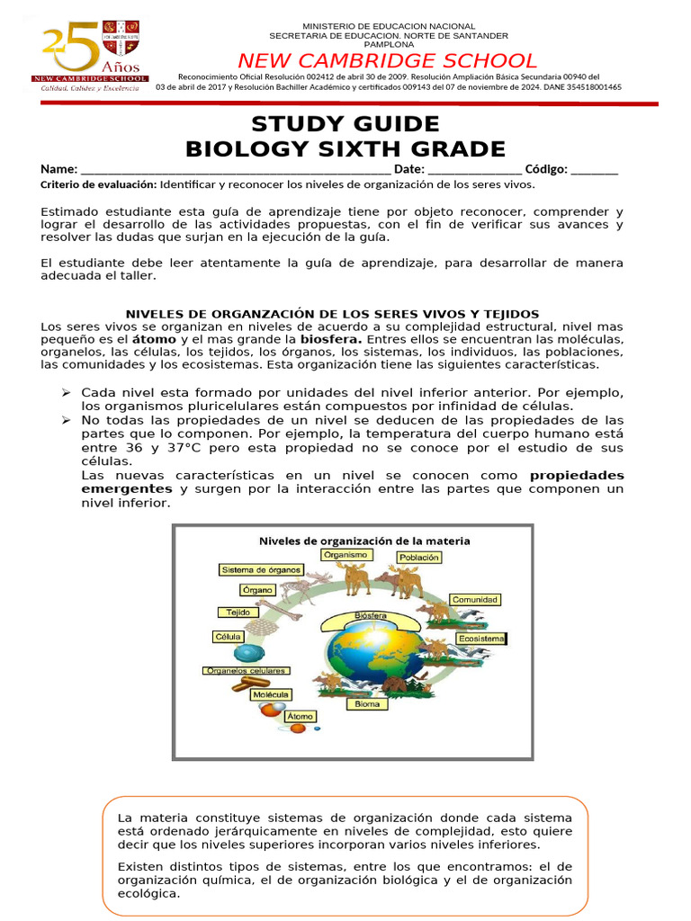 Study Guide Niveles de Organiación de Los Seres Vivos - Tejidos | PDF ...