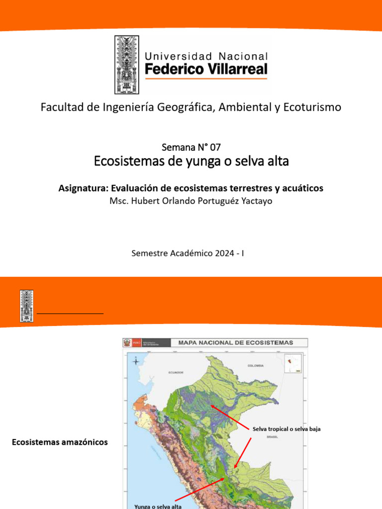 Semana 7 - Ecosistemas de Yunga | PDF