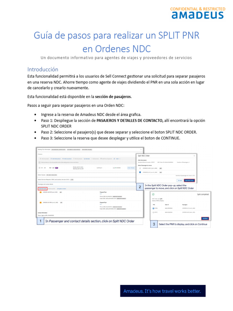 Guía de Pasos para Realizar Un SPLIT PNR en Ordenes NDC | PDF