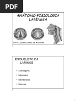 Anatomia e Fisiologia da Laringe | PDF | Laringe | Sistema respiratório
