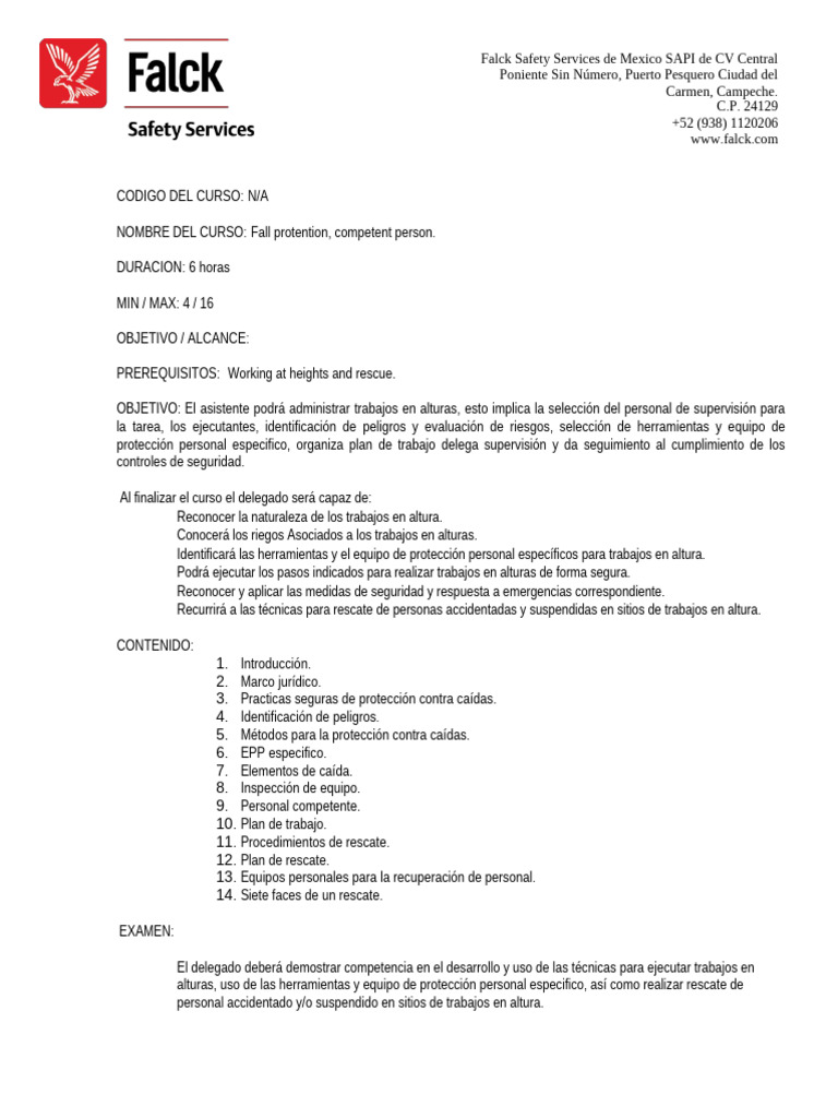 Fall Protection Competent Person | PDF