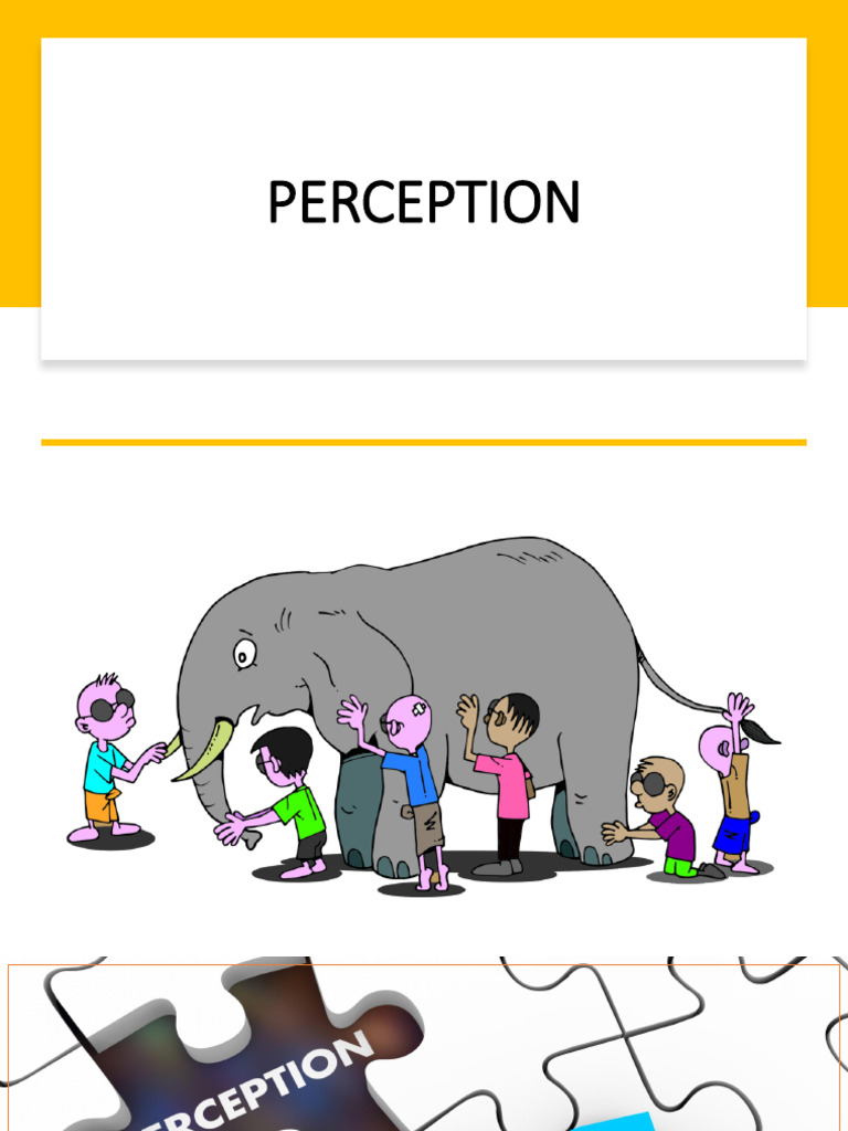Understanding Perception and Sensation | PDF