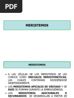 Meristemos Apicales: Estructura y Función | PDF