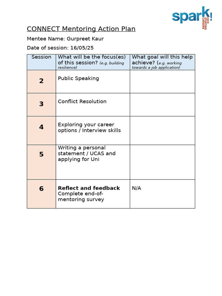 CONNECT Mentoring Action Plan | PDF