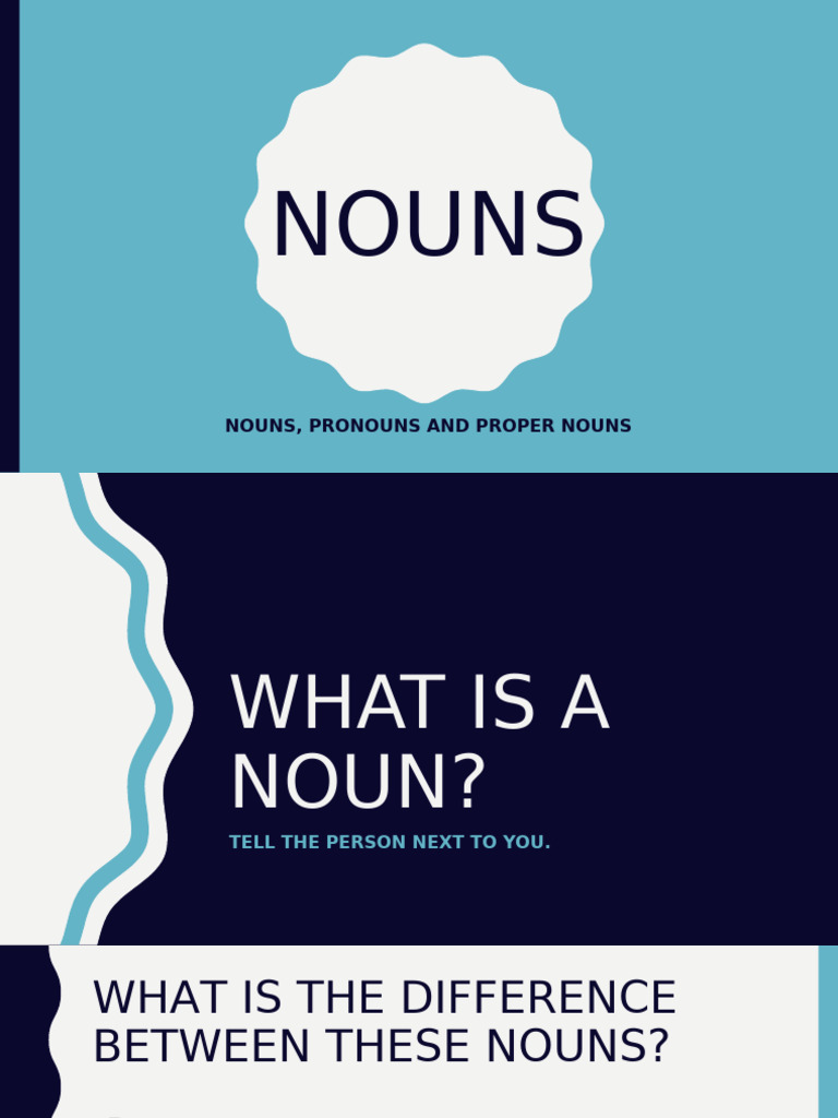 Nouns and Pronouns | PDF