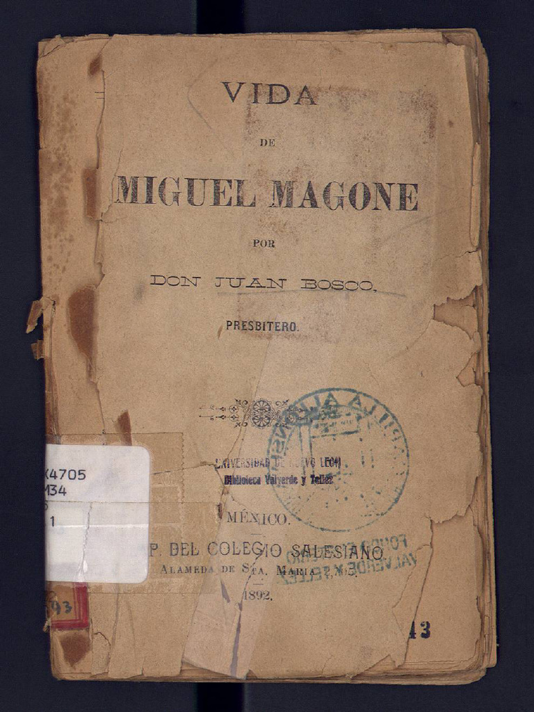 Miguel Magone | PDF