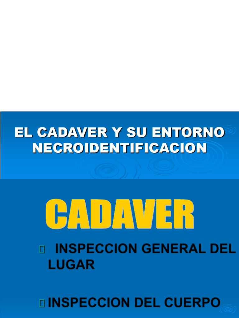 Necro Identif Icac I Ó N | PDF | Descomposición