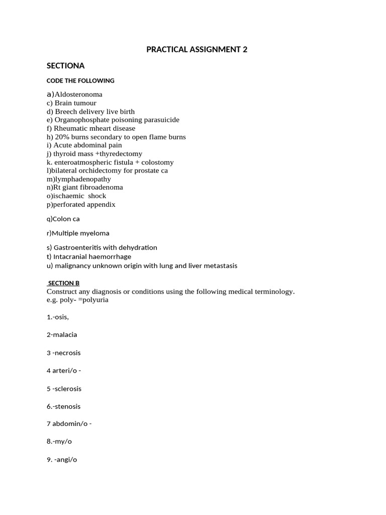 Practical Assignment 2 - 015802 | PDF