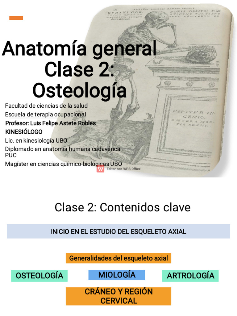 Clase 2 Osteología | PDF | Hueso | Cartílago
