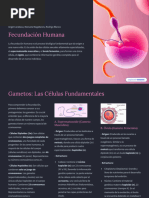 Dibujo del Óvulo y sus Partes | PDF