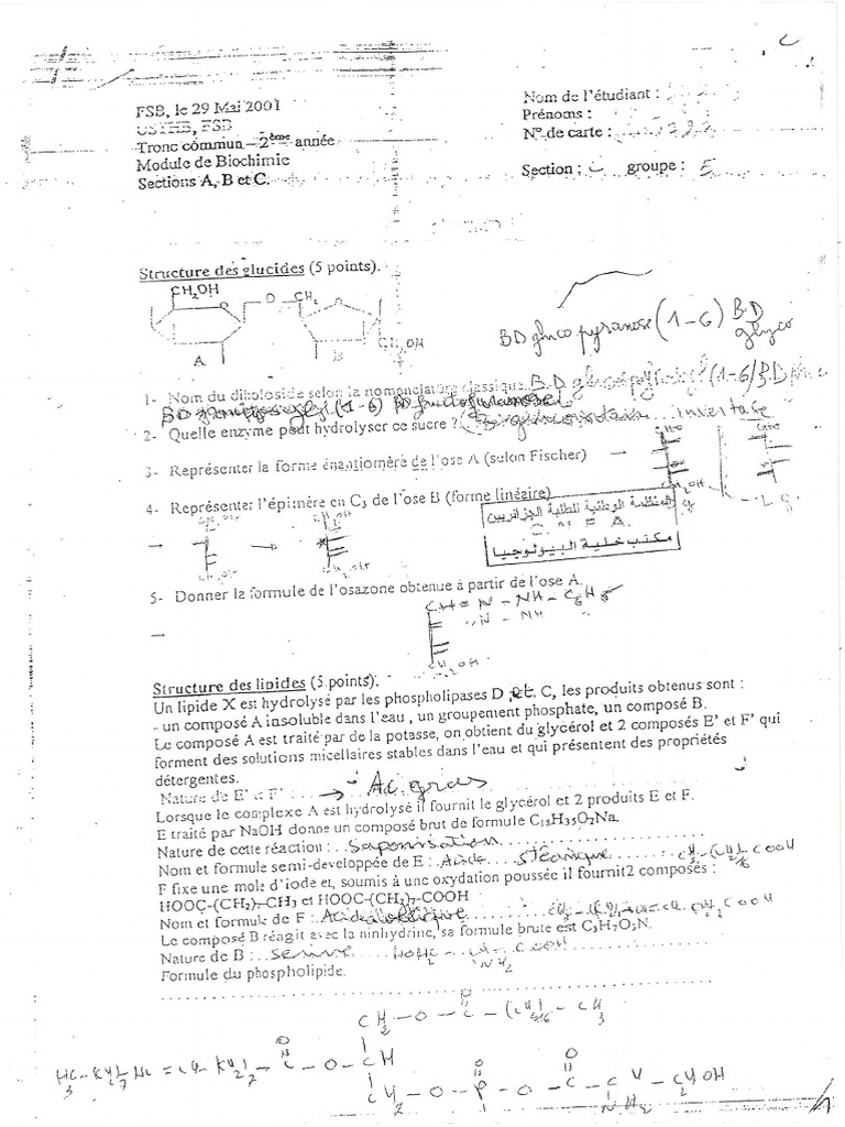 Examen1+Solution L2 Biochimie Structurale - p10-11 | PDF