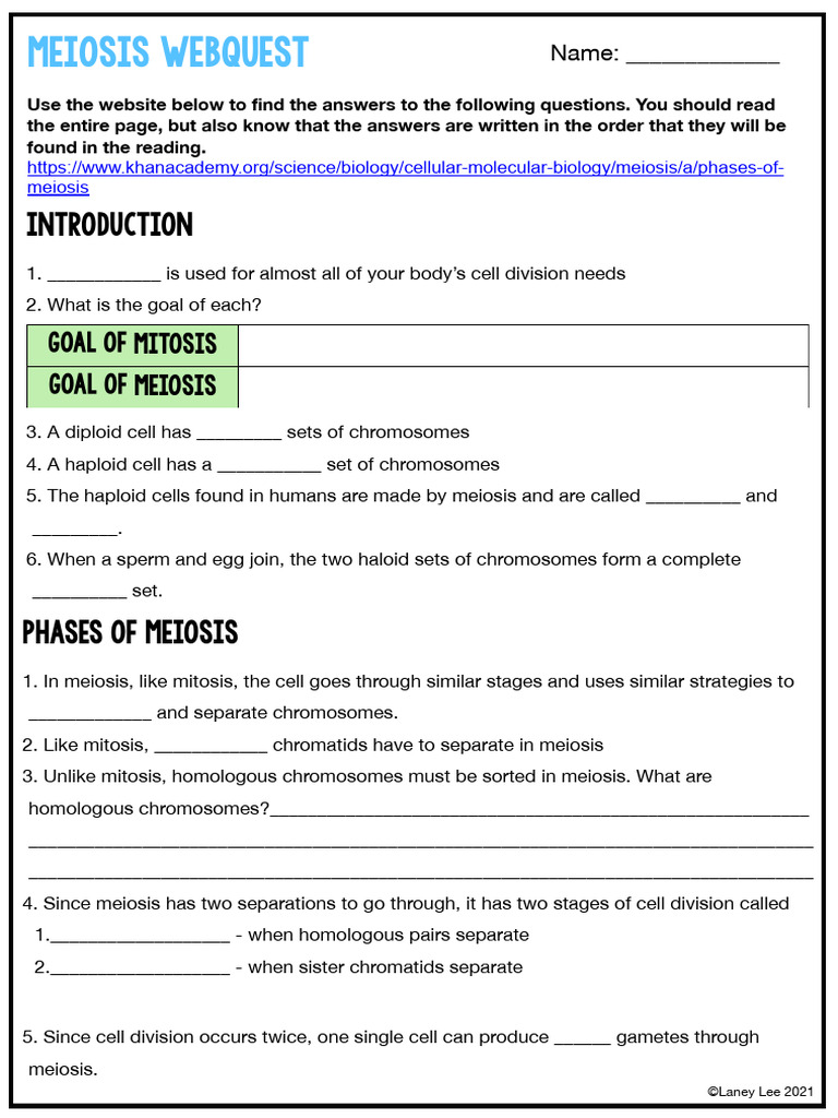 Meiosis Webquest Update 2021 No Key | PDF | Meiosis | Mitosis