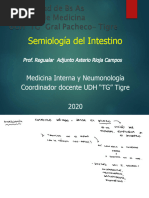Suboclusion Intestinal | PDF | Enfermedades digestivas | Gastroenterología