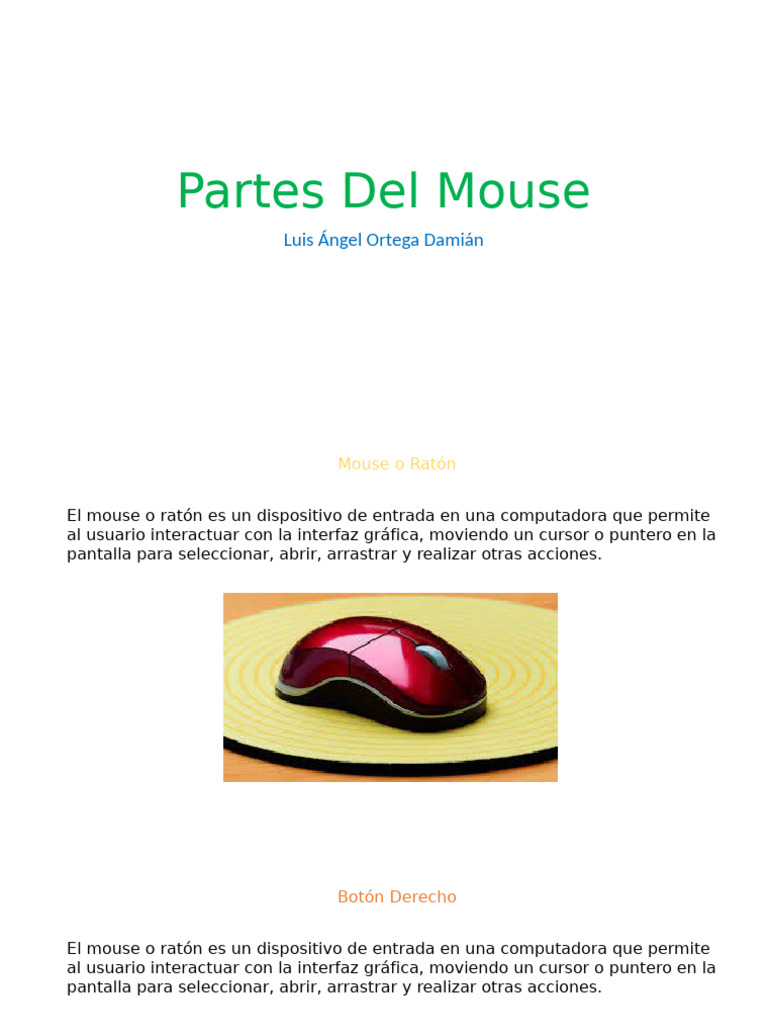 Partes Del Mouse Luis Angel | PDF