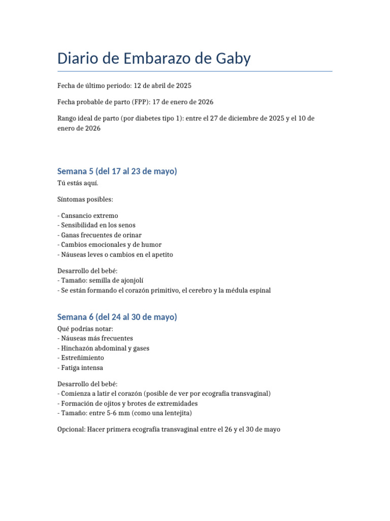 Diario de Embarazo de Gaby | PDF