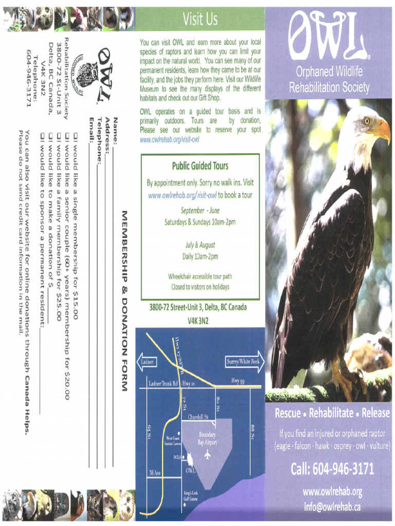 OWL Brochure | PDF