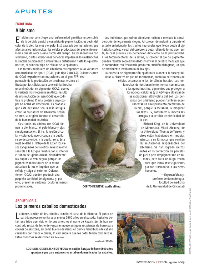 Albinismo | PDF | Epidermis | Piel